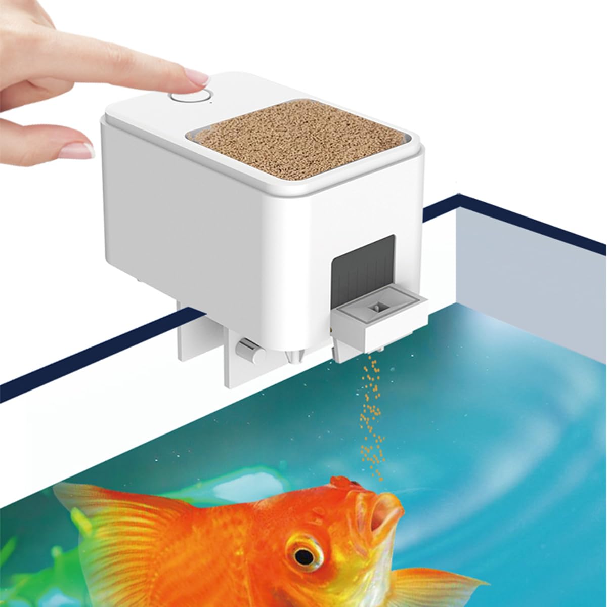 Saltwater Fish Feeders Automatic Saltwater Auto Feeder New Arrivals