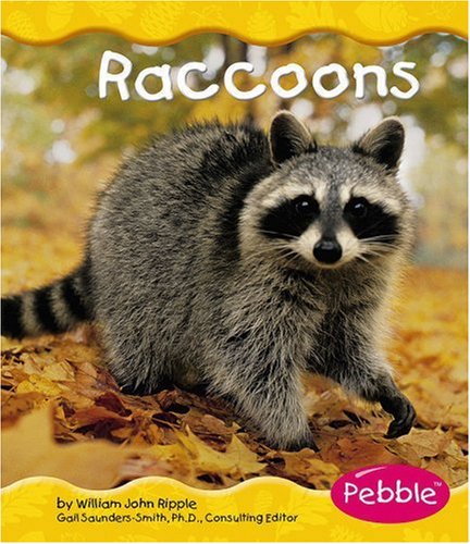 Raccoons (Pebble Books): Ripple, William John: 9780736842501: Amazon ...