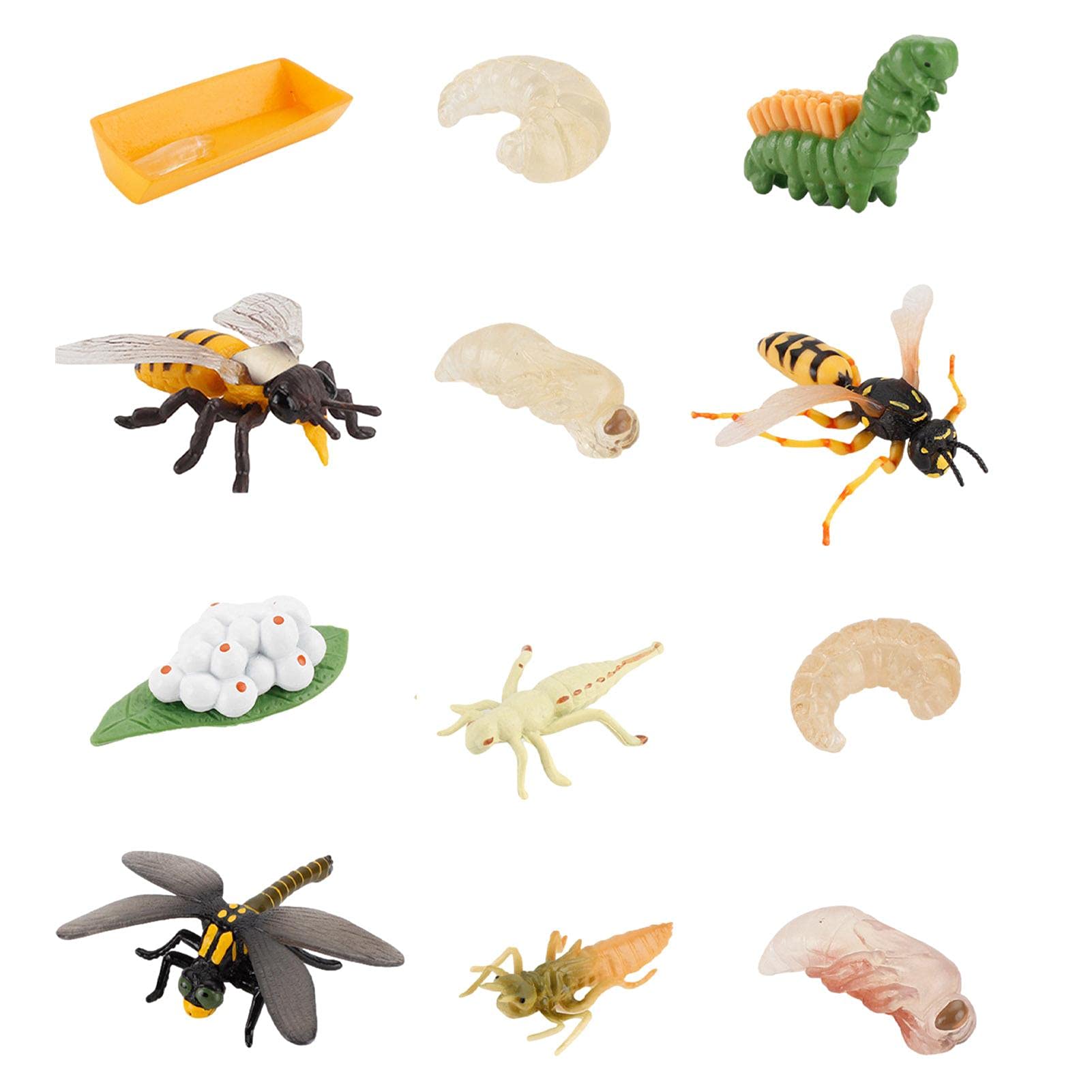 Qians Bugs Figure Toy Set Insect Figurines Life Cycle Stag | Desertcart ...