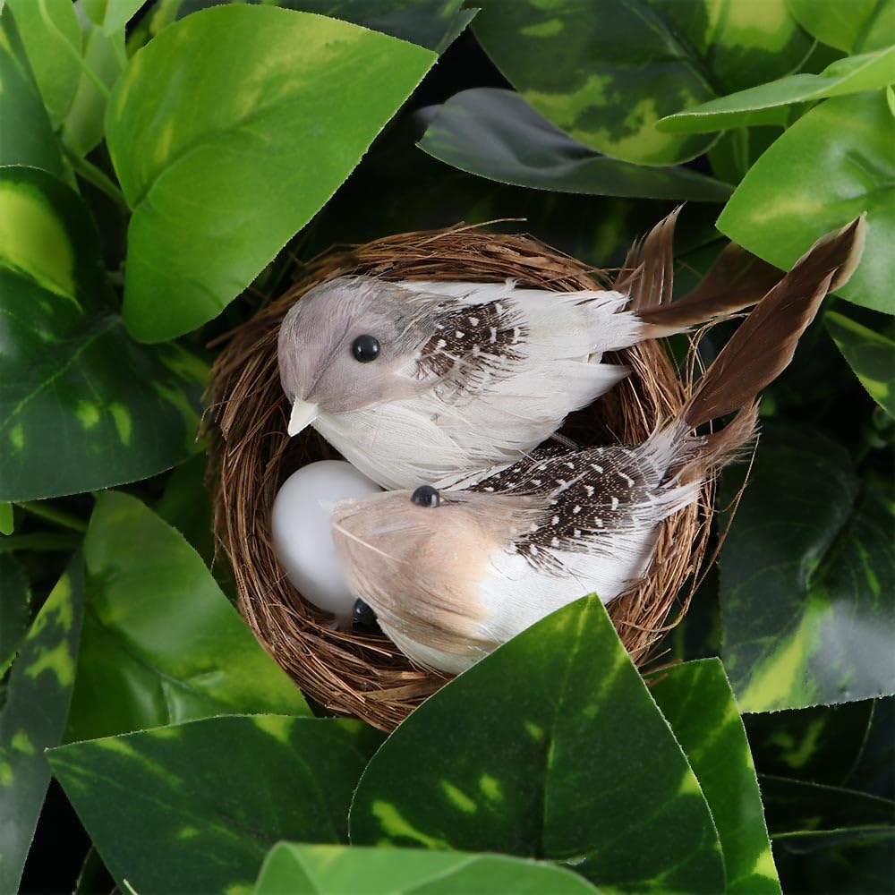 Birds Nest Family Free Nesting Bird Family Image | Download At