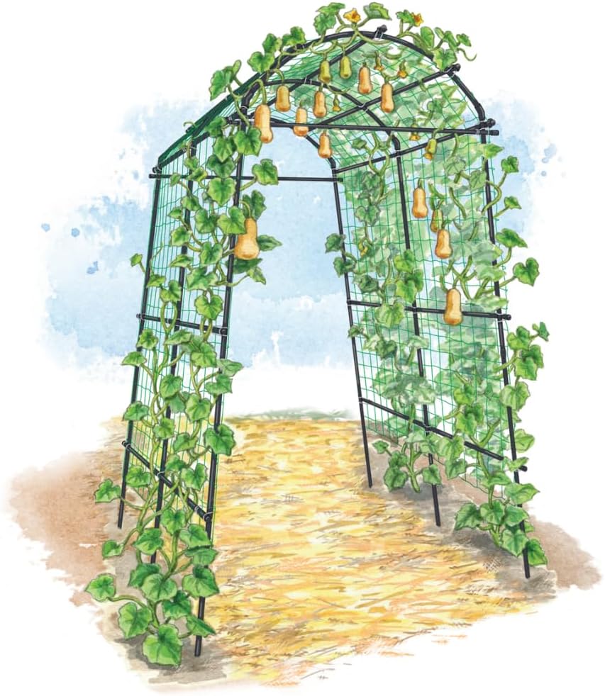 Amazon.com : Gardener's Supply Company Extra Tall Garden Teepee Trellis ...