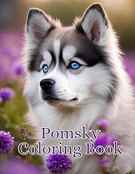 Amazon.com: Pomsky Dog Unique Coloring Book 70 Pages For Children Teen ...