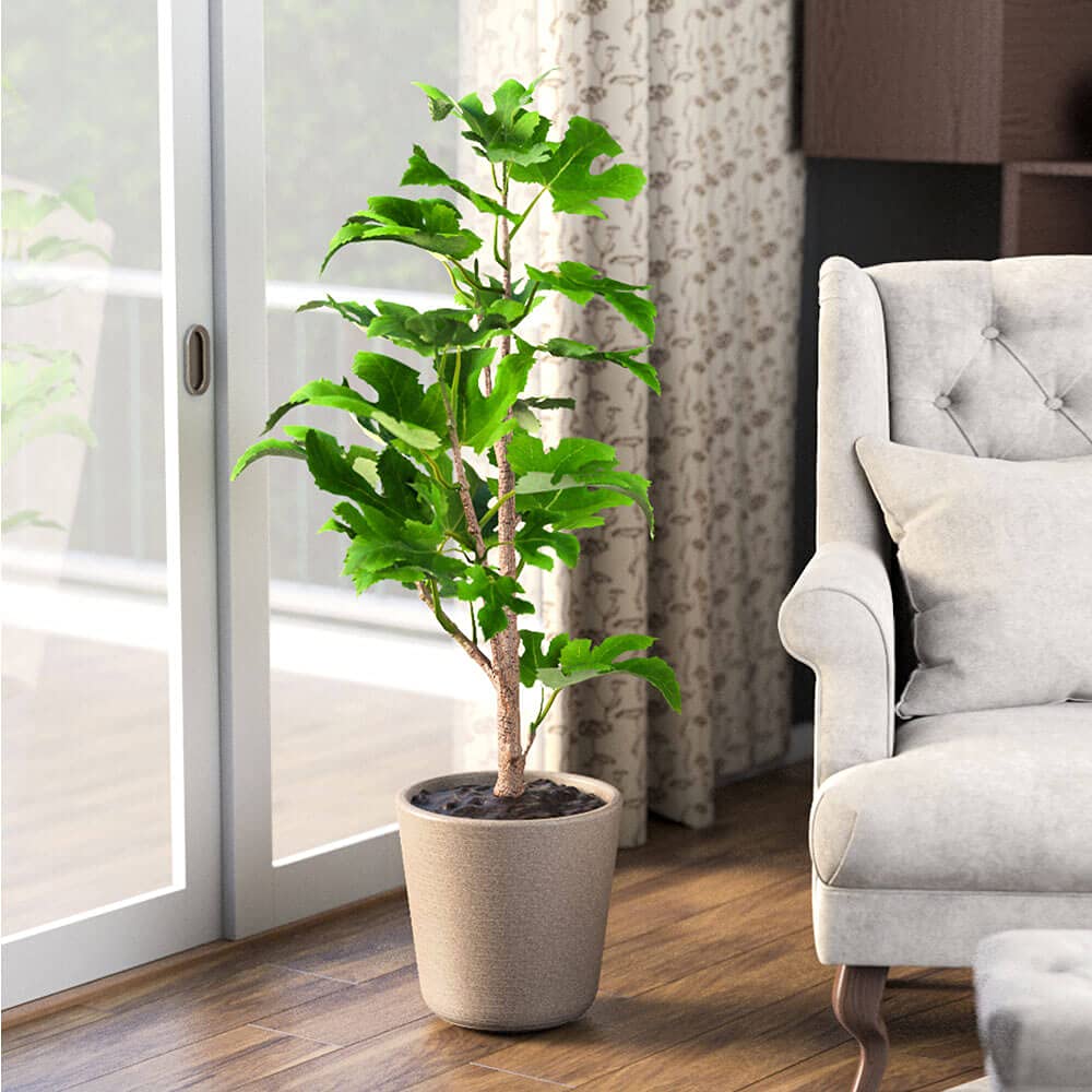 Bello Sereno Round 12D x 13H Inch Plastic Flower Pots for Home/Office ...