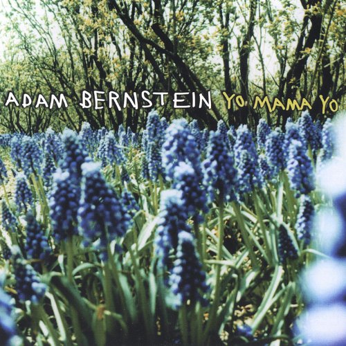 Amazon.com: Yo Mama Yo : Adam Bernstein: Digital Music