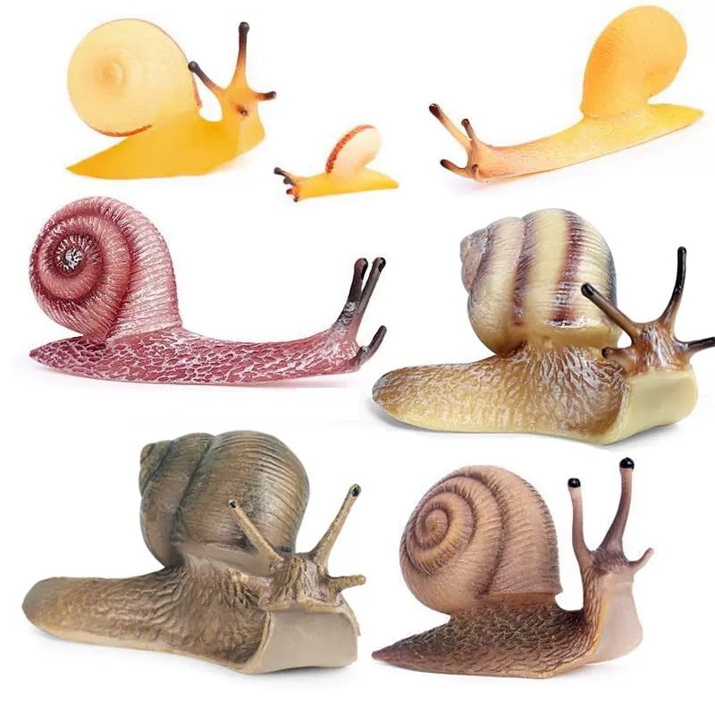Amazon.com: titihuirie 7 Pcs Snail Figurine Miniature Snail Model ...