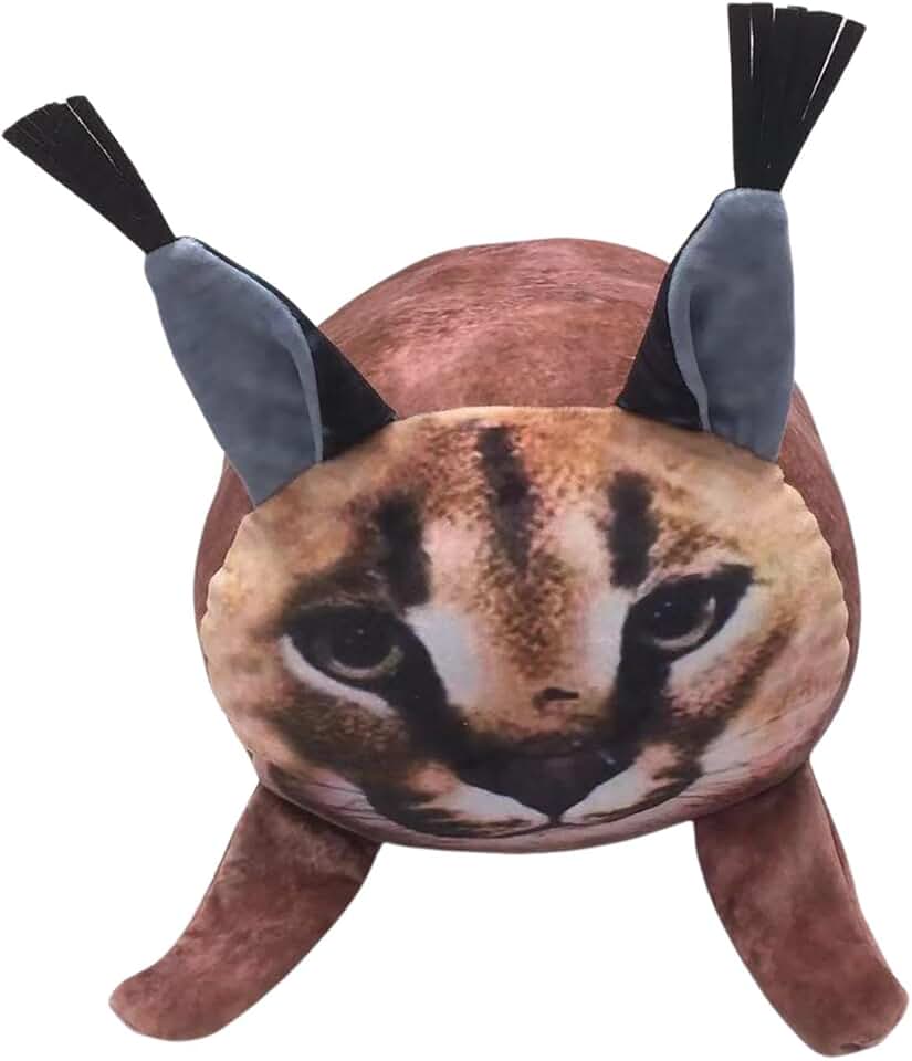 Amazon.com.mx: Floppa