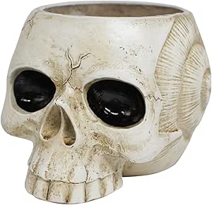 Amazon.com: YZYDF Skull Planter for Flowers Indoor and Outdoor ...