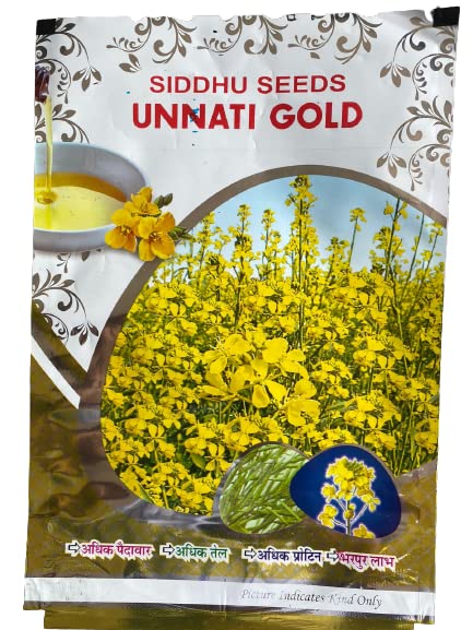 Siddhu Seeds Musterd seed 1000 gm (3) : Amazon.in: Garden & Outdoors