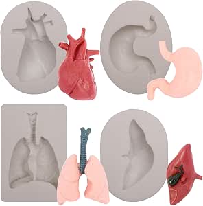 Amazon.com: 4Pcs Human Organs Silicone Molds Heart Liver Lung Chocolate ...