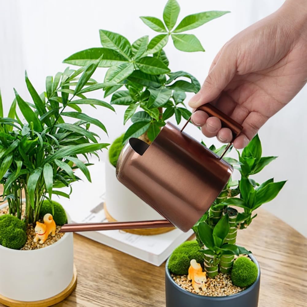 Amazon.com : Luxmars Mini Watering Can Stainless Steel Long Spout 10oz ...
