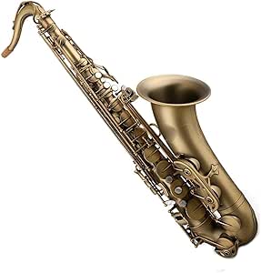 Amazon.com: Bb Tenor Saxophone Antique Copper Sax Student Professional ...