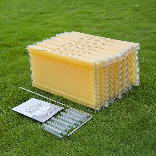 Best Easy Harvest Bee Hives for Quick, Mess-Free Beekeeping – Complete ...