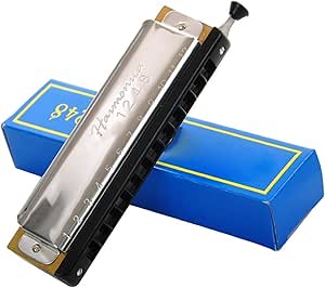 Amazon.com: 12 Hole Chromatic Harmonica 48 Tone C Adult Beginner ...