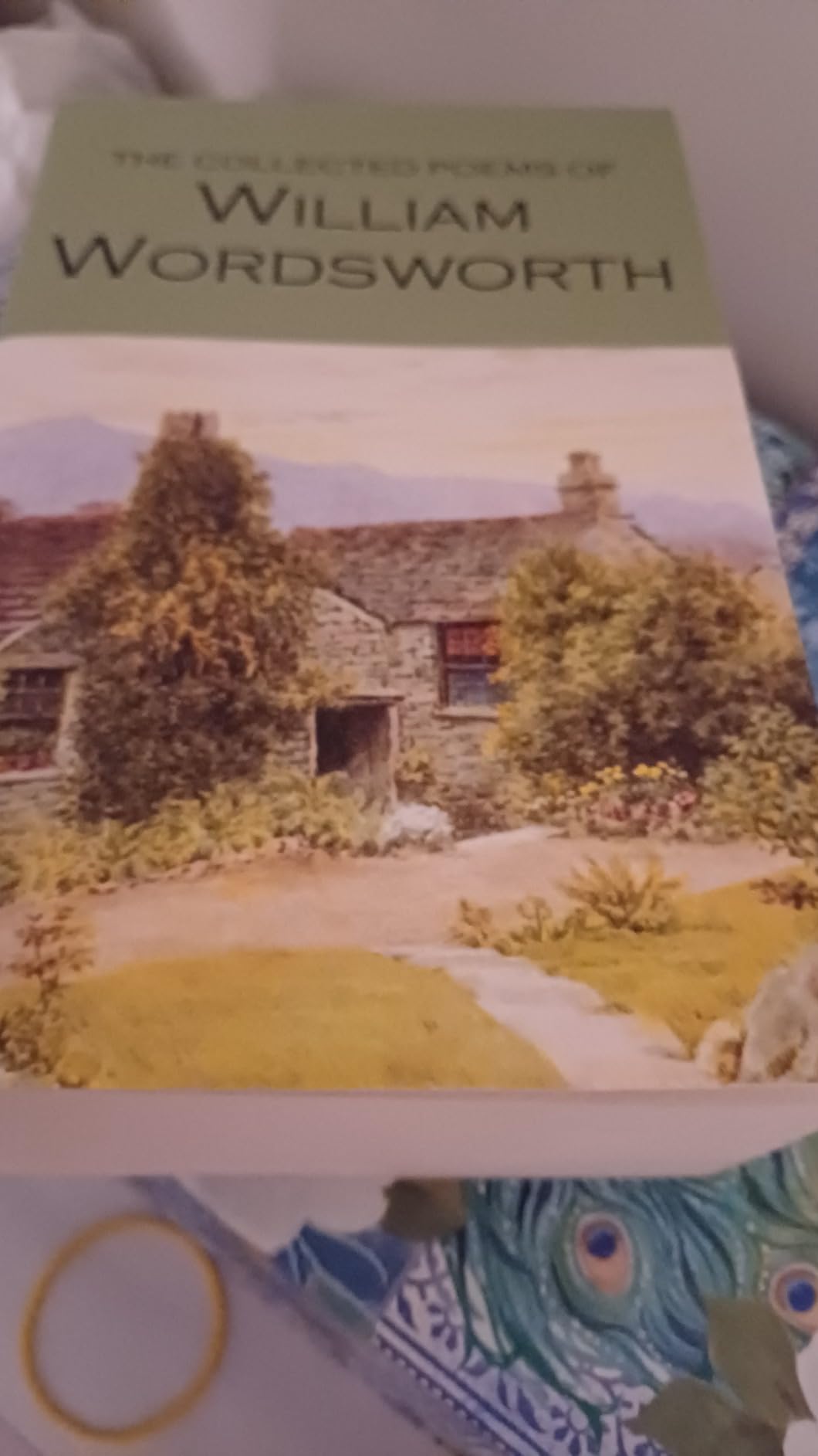 The Collected Poems of William Wordsworth (Wordsworth Poetry Library ...