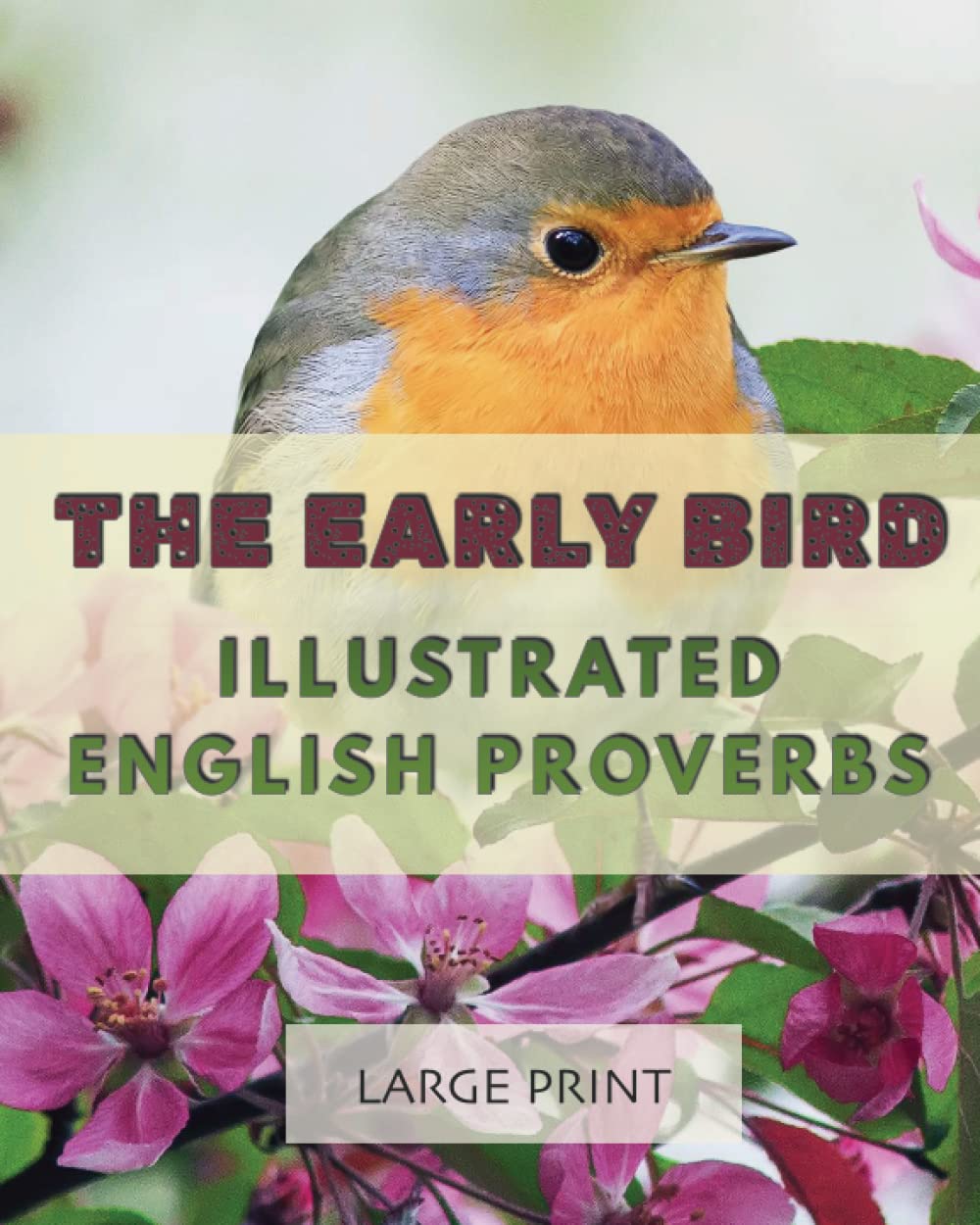 The Early Bird: Illustrated English Proverbs: Large Print: A dementia ...