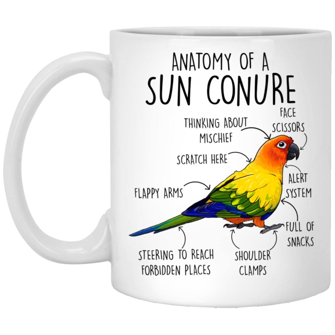 Cute Bird Memes Funny Parrot Moments: Hilarious Bird Videos