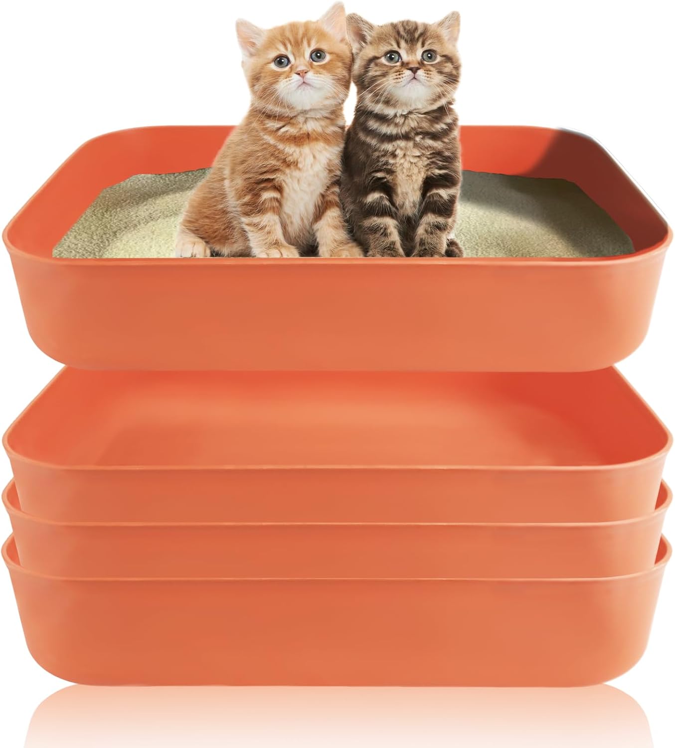 Amazon.com : Small Litter Box, Plastic Kitten Litter Box, 13.9 x 9.8 x ...