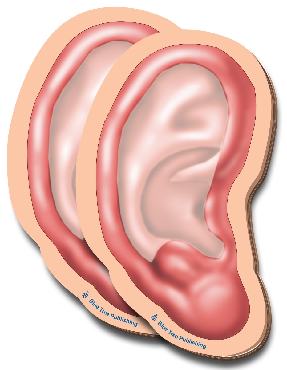 Ear Sticky Notes, 2 Pack-100 Sheets Per Pack : Amazon.in: Office Products