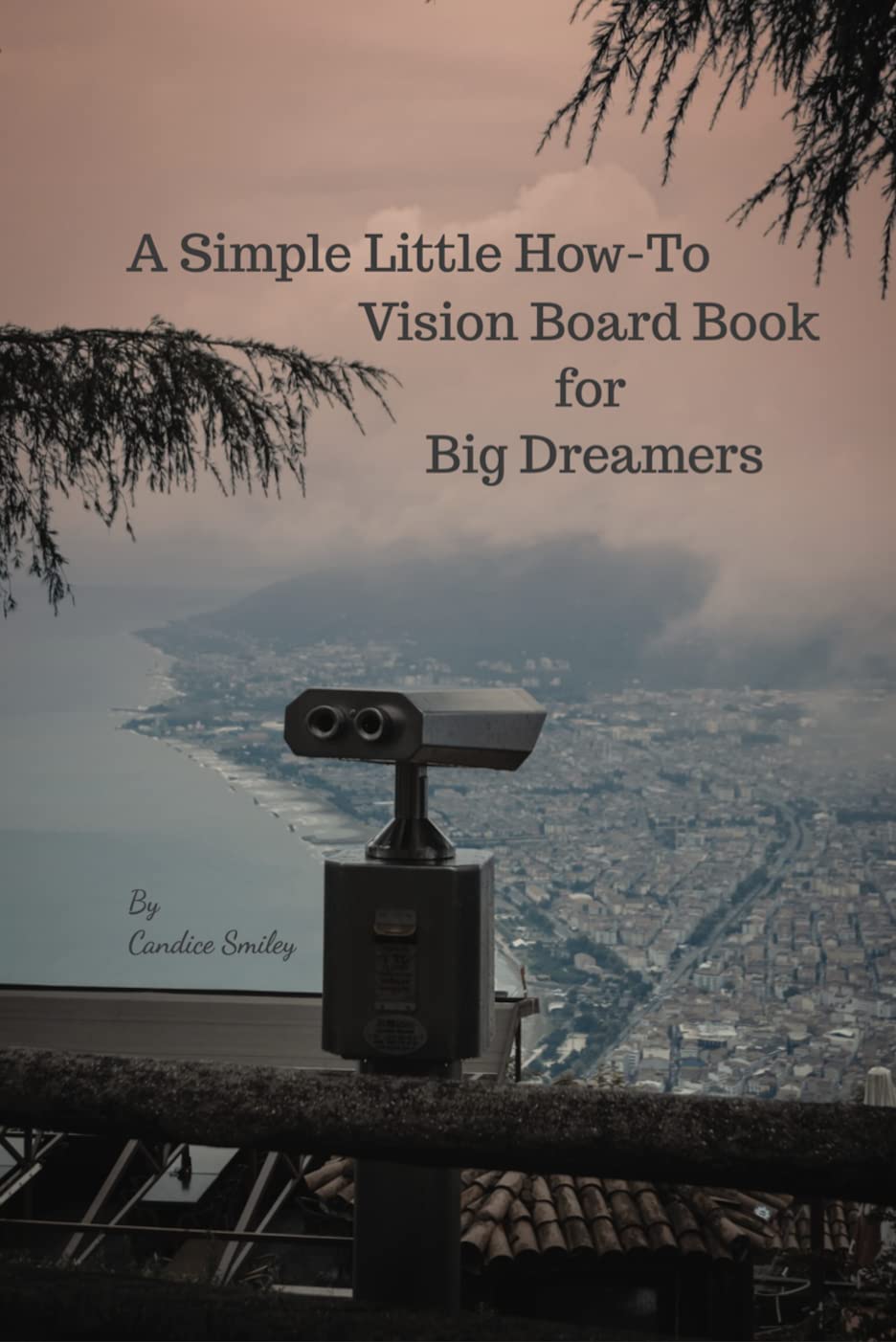 Amazon.com: A Simple Little How-To Vision Board Book for Big Dreamers ...