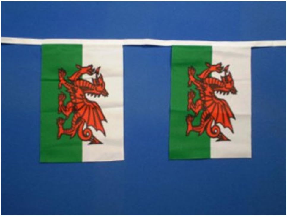 Amazon.com : Wales (Welsh) Flag Bunting 9metres/30ft Long with 30 Flags ...