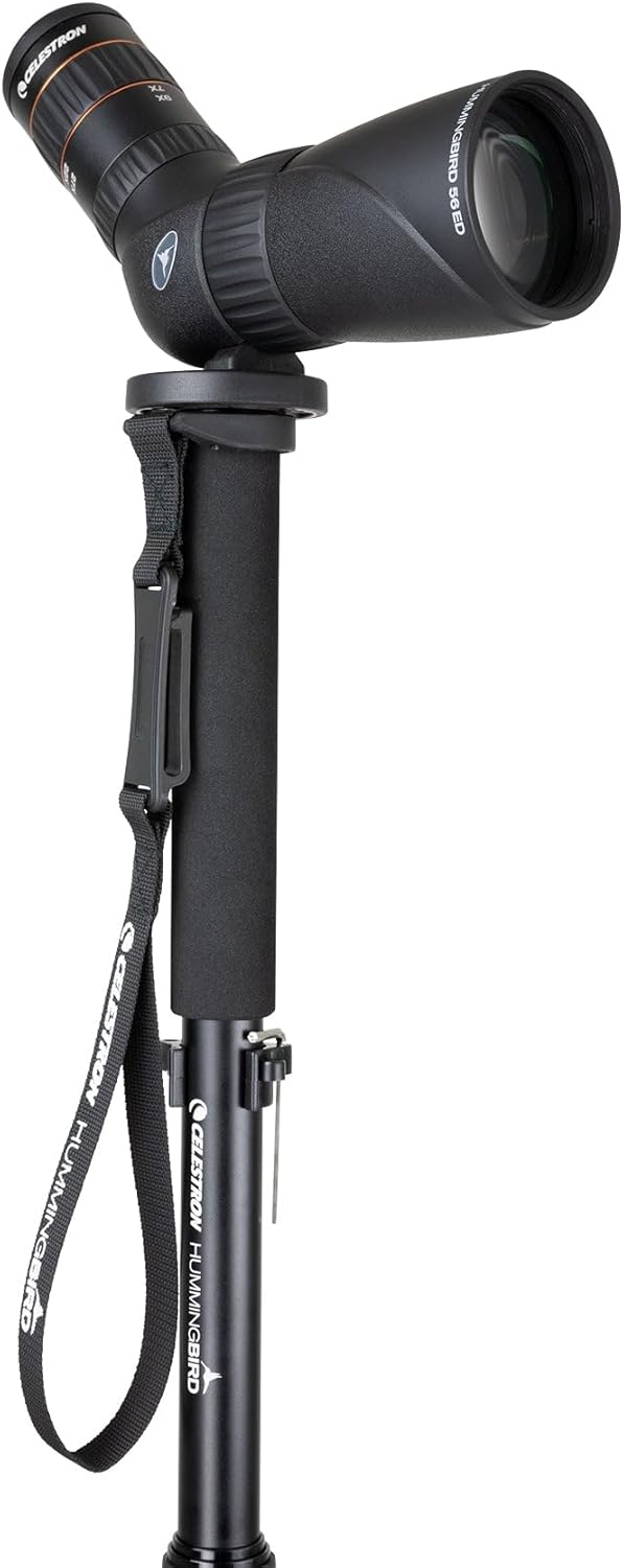 Amazon.com : Celestron 82053 Hummingbird Monopod, a Stable Platform for ...