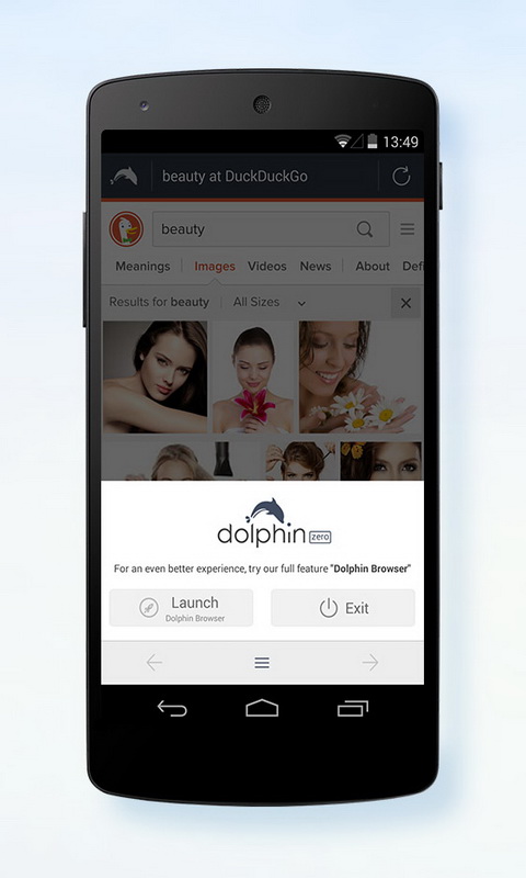 Dolphin Zero Incognito Browser - App on Amazon Appstore