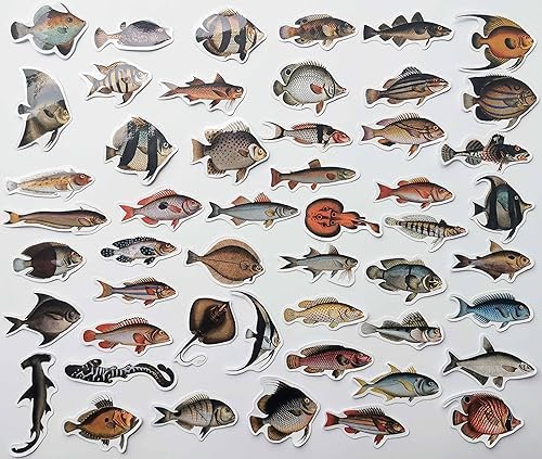 Amazon.com - Small Saltwater Fishing Stickers Saltwater Fish Decal ...