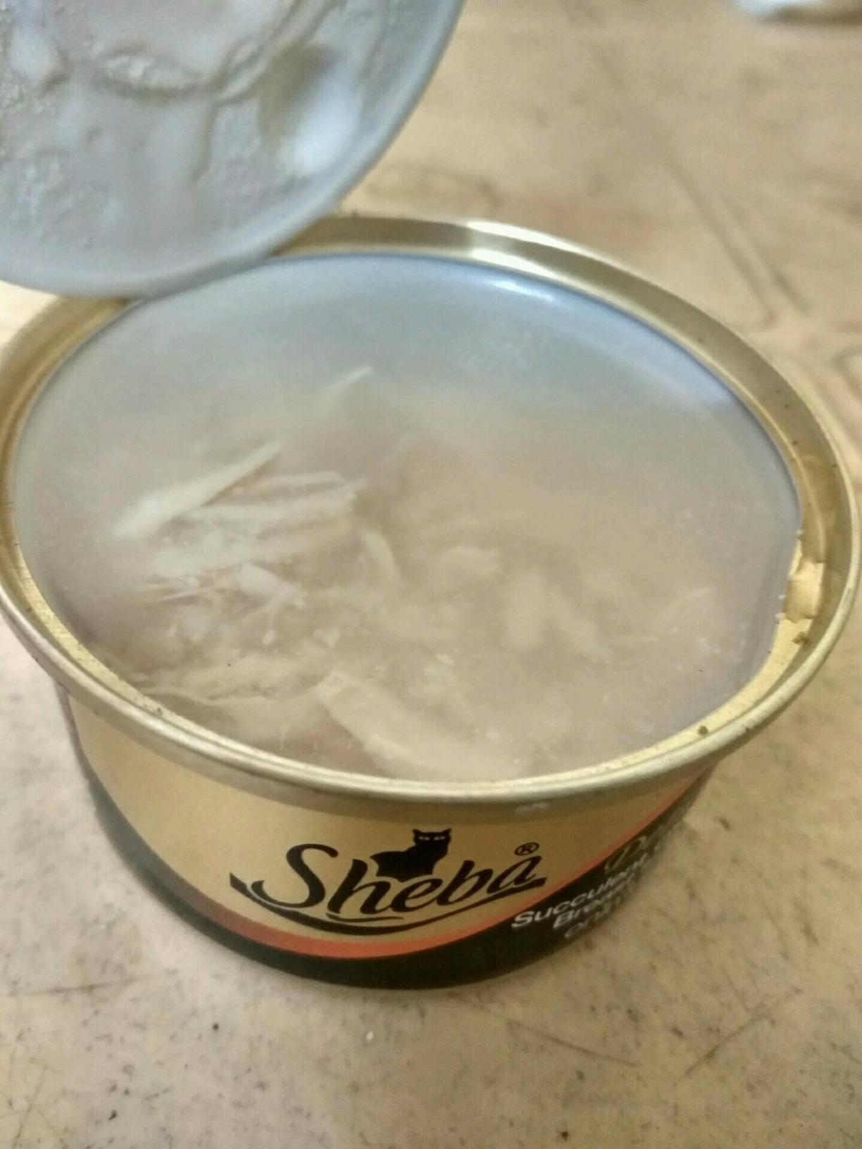 Sheba Premium Wet Cat Food for adult, Succulent Chicken Breast in Gravy ...