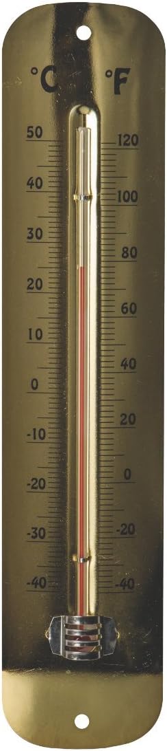 Amazon.com : Esschert Design Wall Plate Thermometer : Patio, Lawn & Garden
