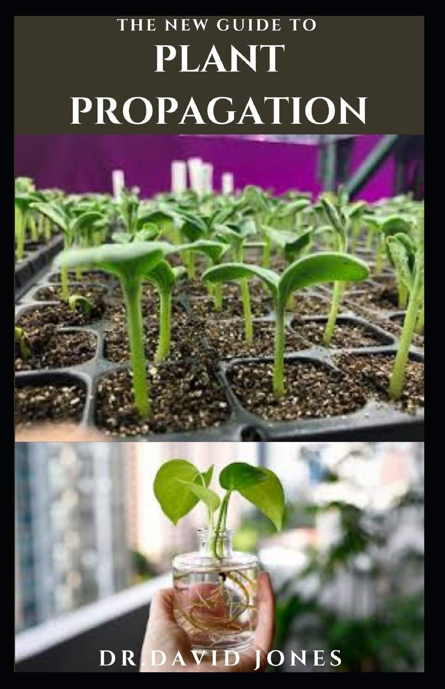 The New Guide To Plant Propagation Step By Step Guide | Desertcart INDIA
