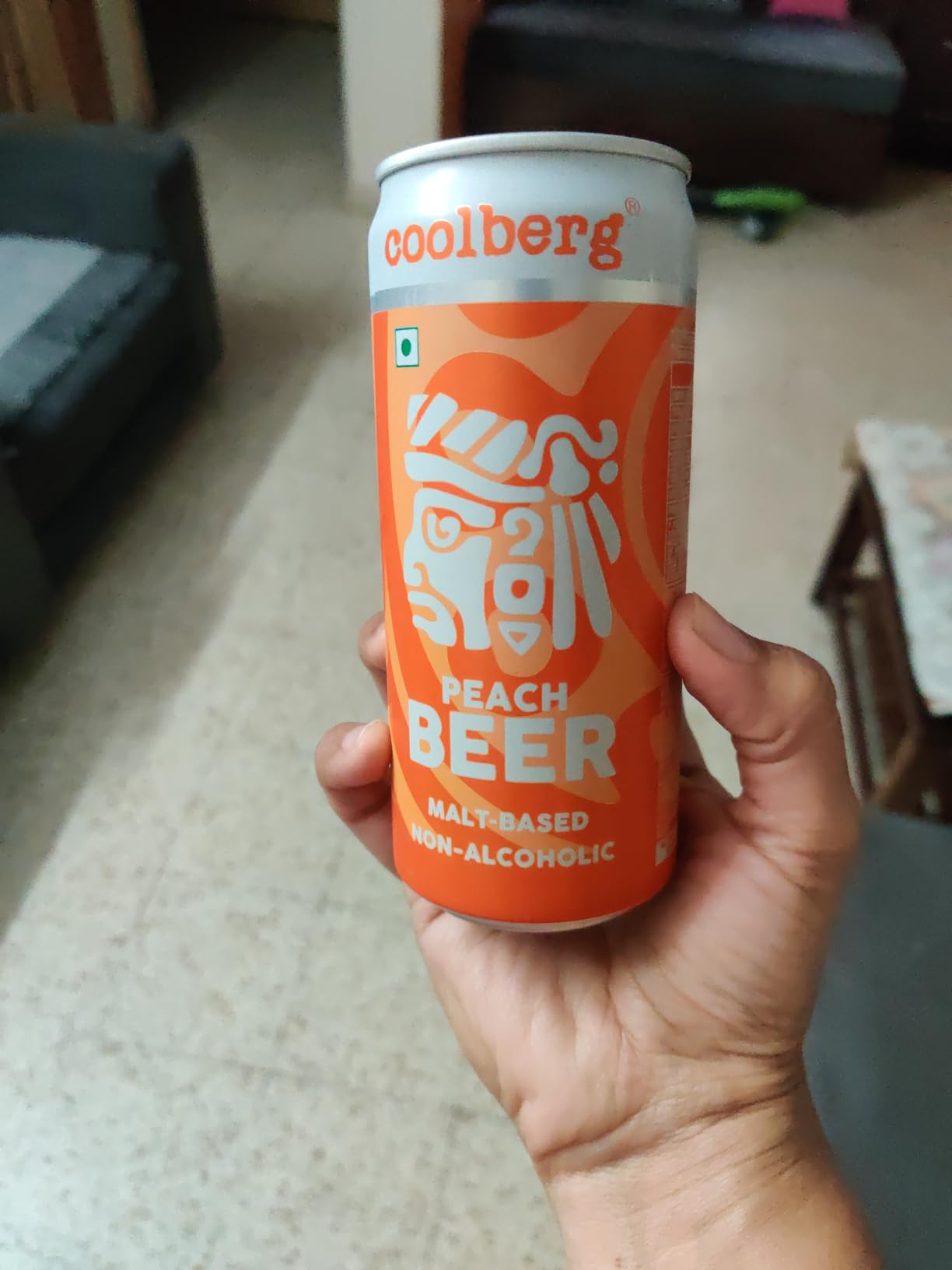 Coolberg Non Alcoholic Beer Assorted Flavors 300ml CANs - Pack of 6 ...