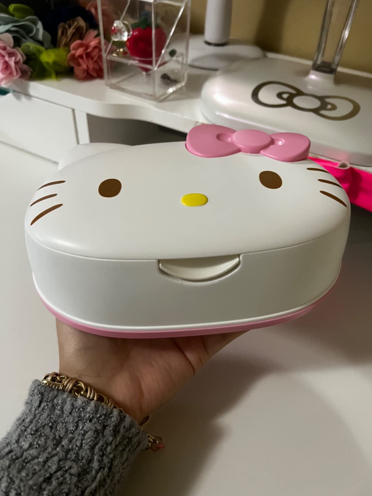 $4/mo - Finance LEC 99.9% Water Wet Wipes with Hello Kitty Case, 80 ...