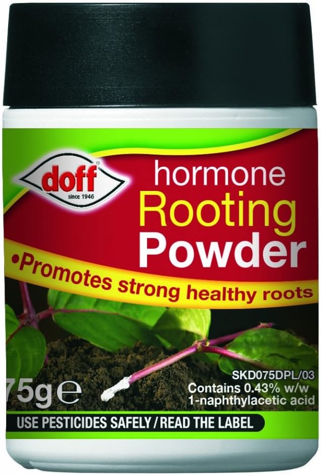 Doff Rooting Powder 75g - For Higher Success in Plant Propagation ...