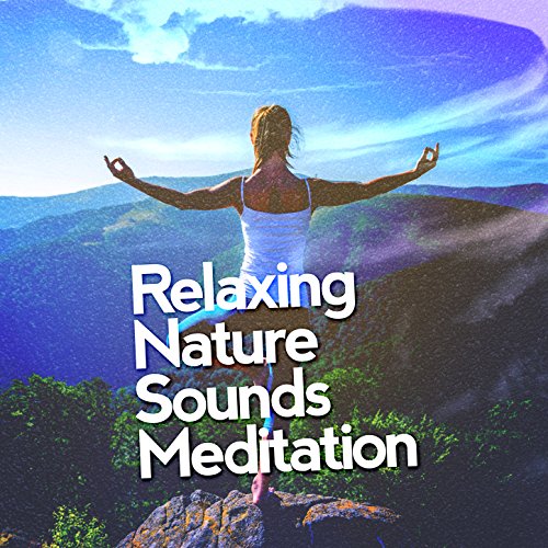Play Relaxing Nature Sounds: Meditation by Meditate to Sounds of Nature ...