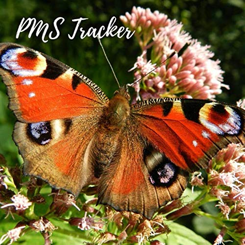 PMS Tracker: Use this Women's Health Log to monitor Your Menstrual ...