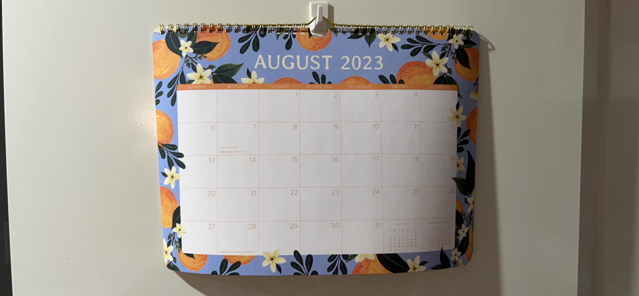 Orange Circle 2024 Find Balance Deluxe Wall Calendar: Wall Calendars ...