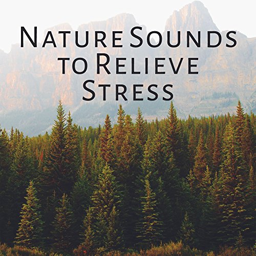 Amazon.co.jp: Nature Sounds to Relieve Stress – Easy Sounds, Calming ...