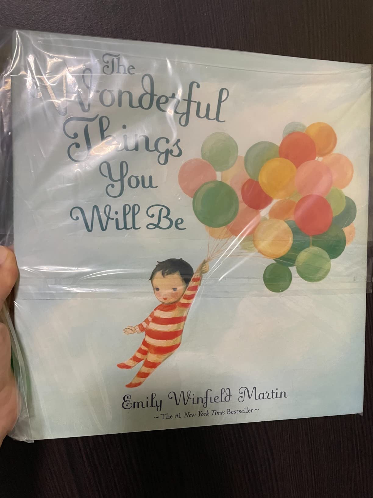 The Wonderful Things You Will Be : Martin, Emily Winfield: Amazon.sg: Books