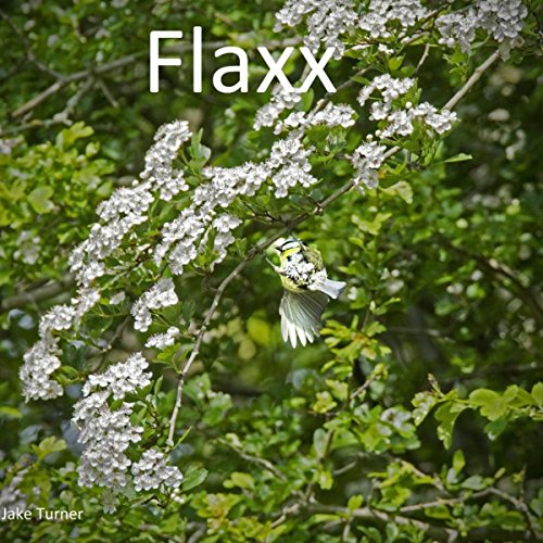 Amazon MusicでJake TurnerのFlaxxを再生する