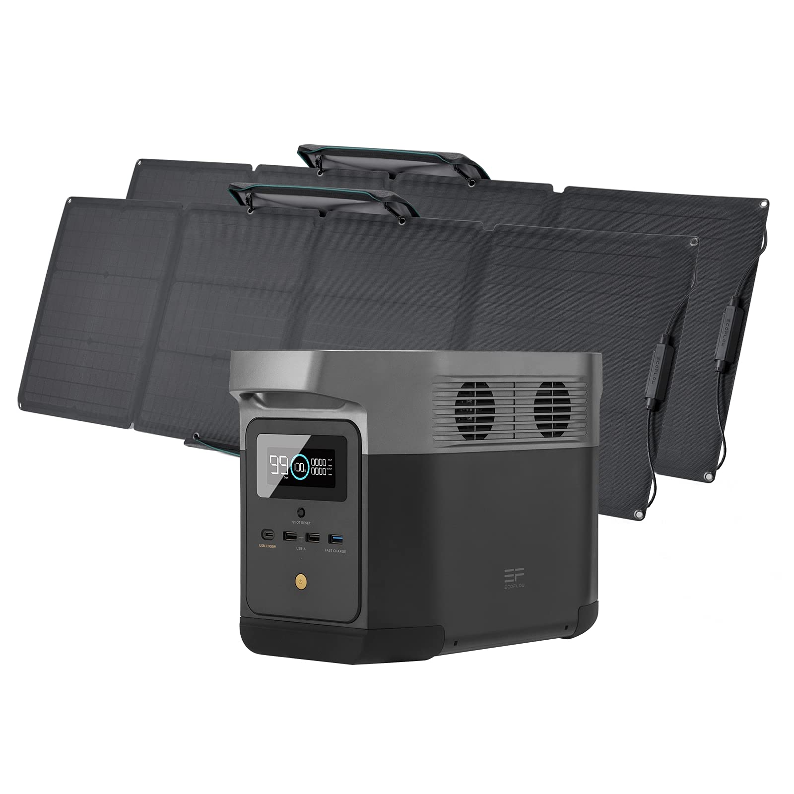 Ef Ecoflow DELTA MINI