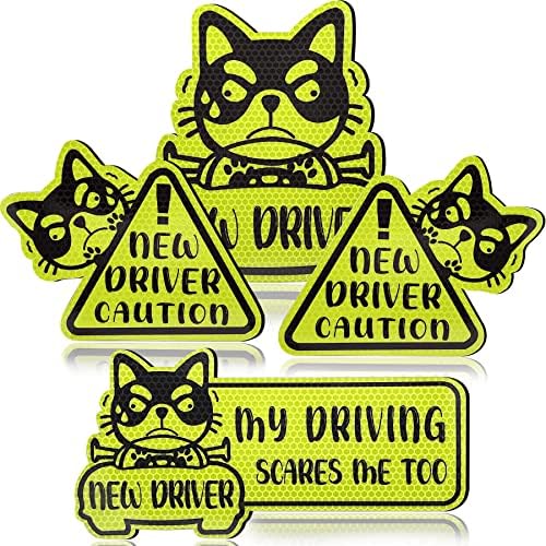 Amazon.com: VAXPTHEX 4Pcs Student Driver Car Magnet,Cute Cartoon New ...
