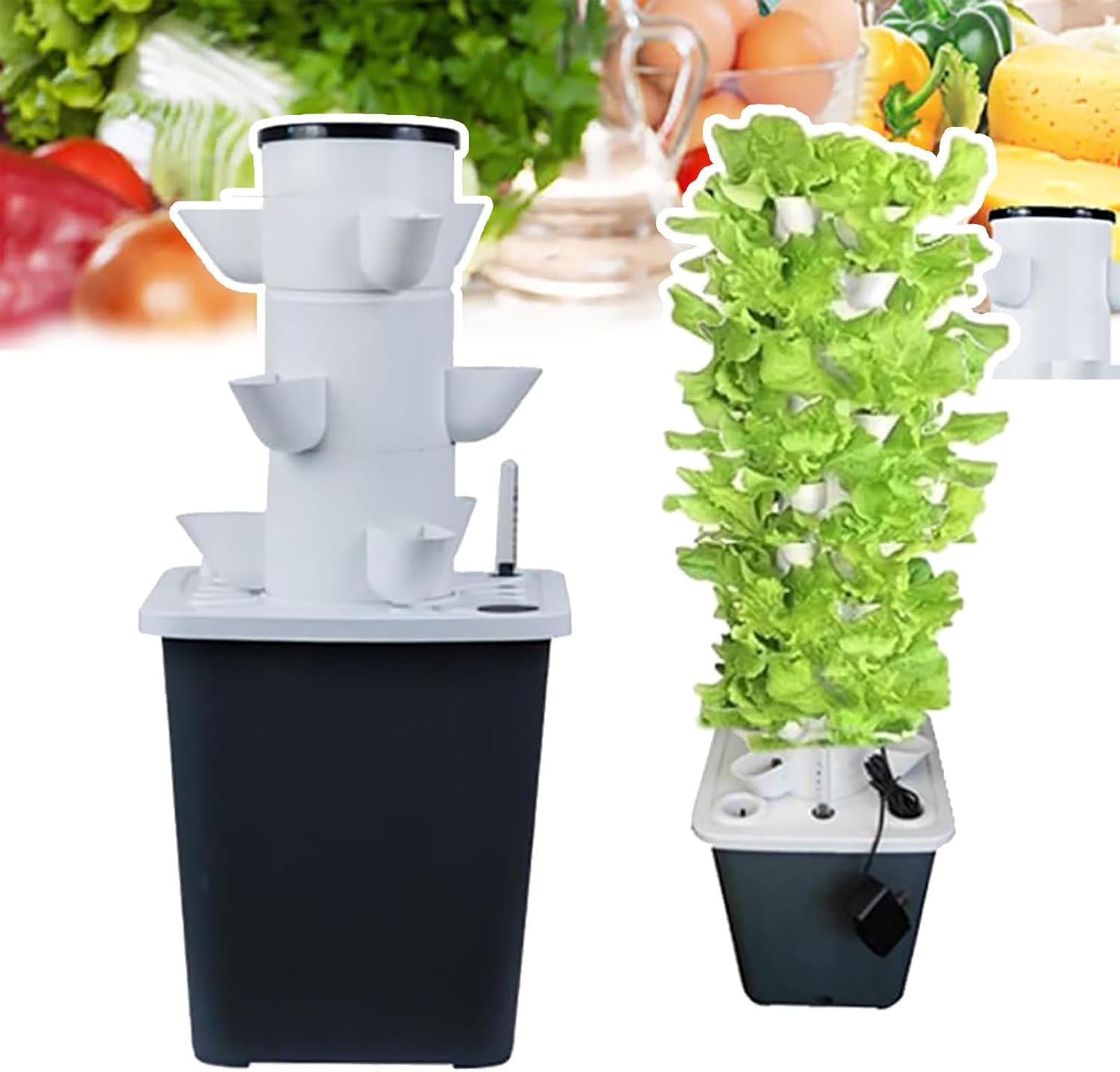 Amazon.com: Garden Hydroponic Growing System(15/20/25/30 Holes ...