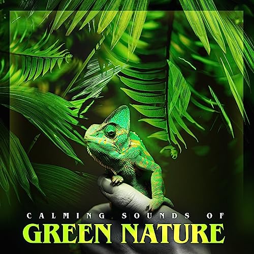 Fresh Stream – Die 15 besten Produkte im Vergleich - WinTotal