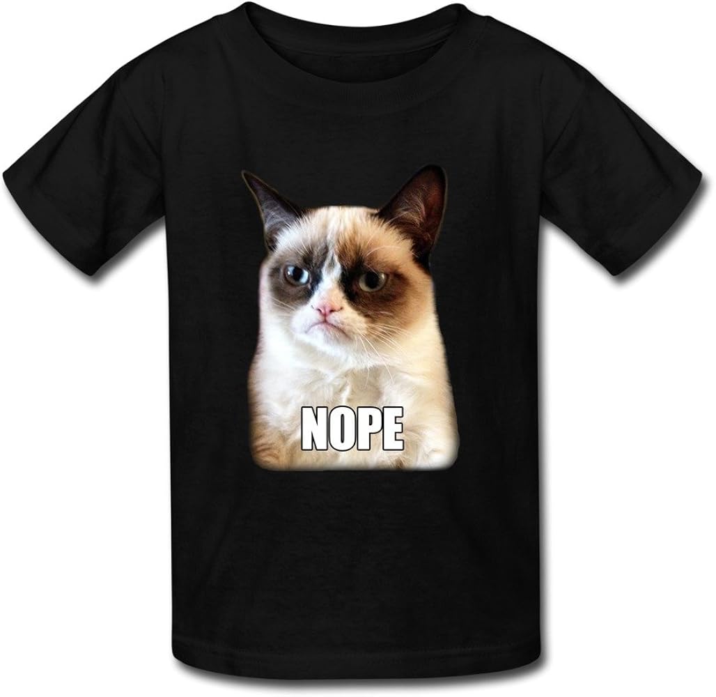 Grumpy Cat Still Nope
