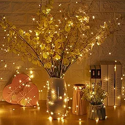 Buy 10 Meter 100 LED Copper String Lights | LTETTES