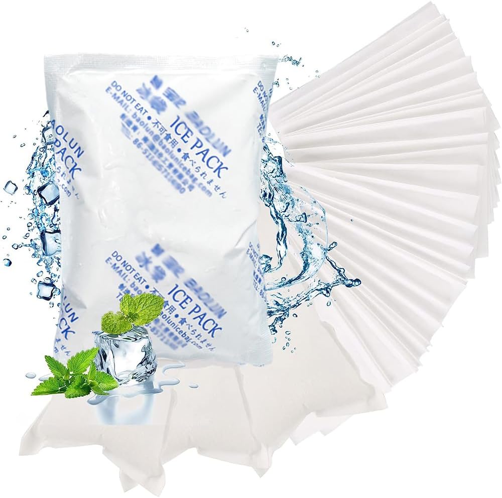 Goodern 30Pcs Dry Ice Packs,Auto Water Absorption Cold Pack Ice Pack ...