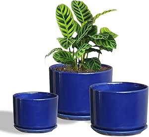 BUYMAX 4+5+6 inch Shiny Glossy Glazed Plant Pots with Connected Saucers ...