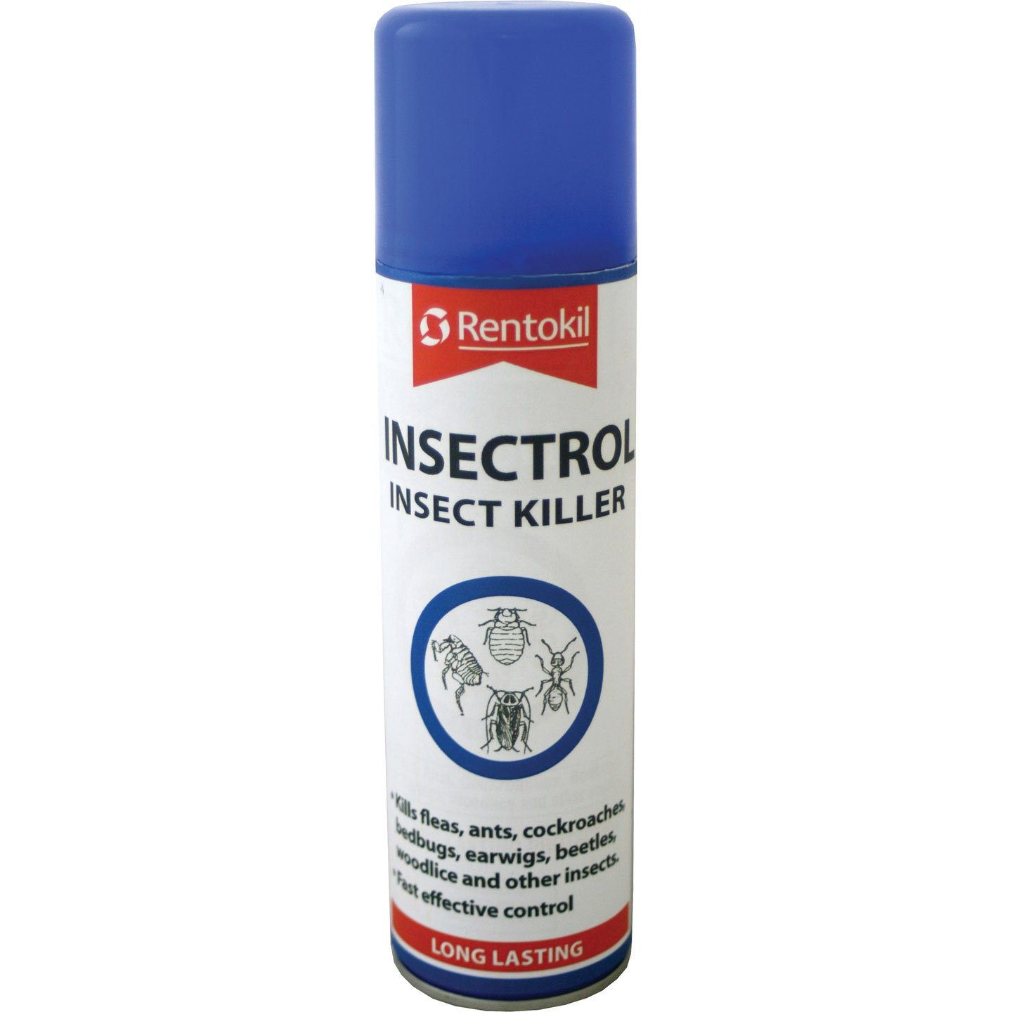 Rentokil RKLPS136 Insectrol Insect Killer 250ml Aerosol : Amazon.co.uk ...