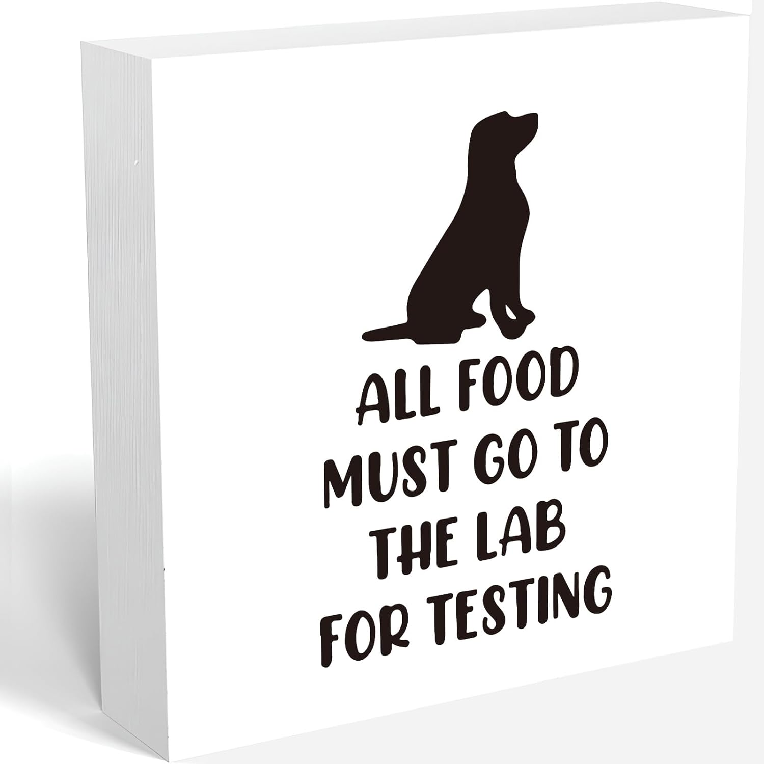 Amazon.com: bitCNY Labrador Wooden Box Sign, Labrador Retriever Gifts ...