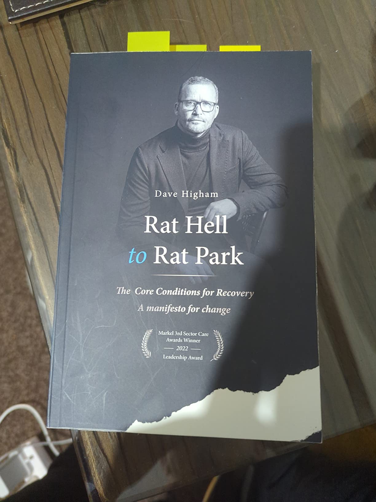 Rat Hell to Rat Park: The Core Conditions for Recovery. A manifesto for ...
